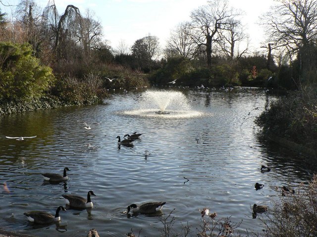 The Pond - A crowded calendar