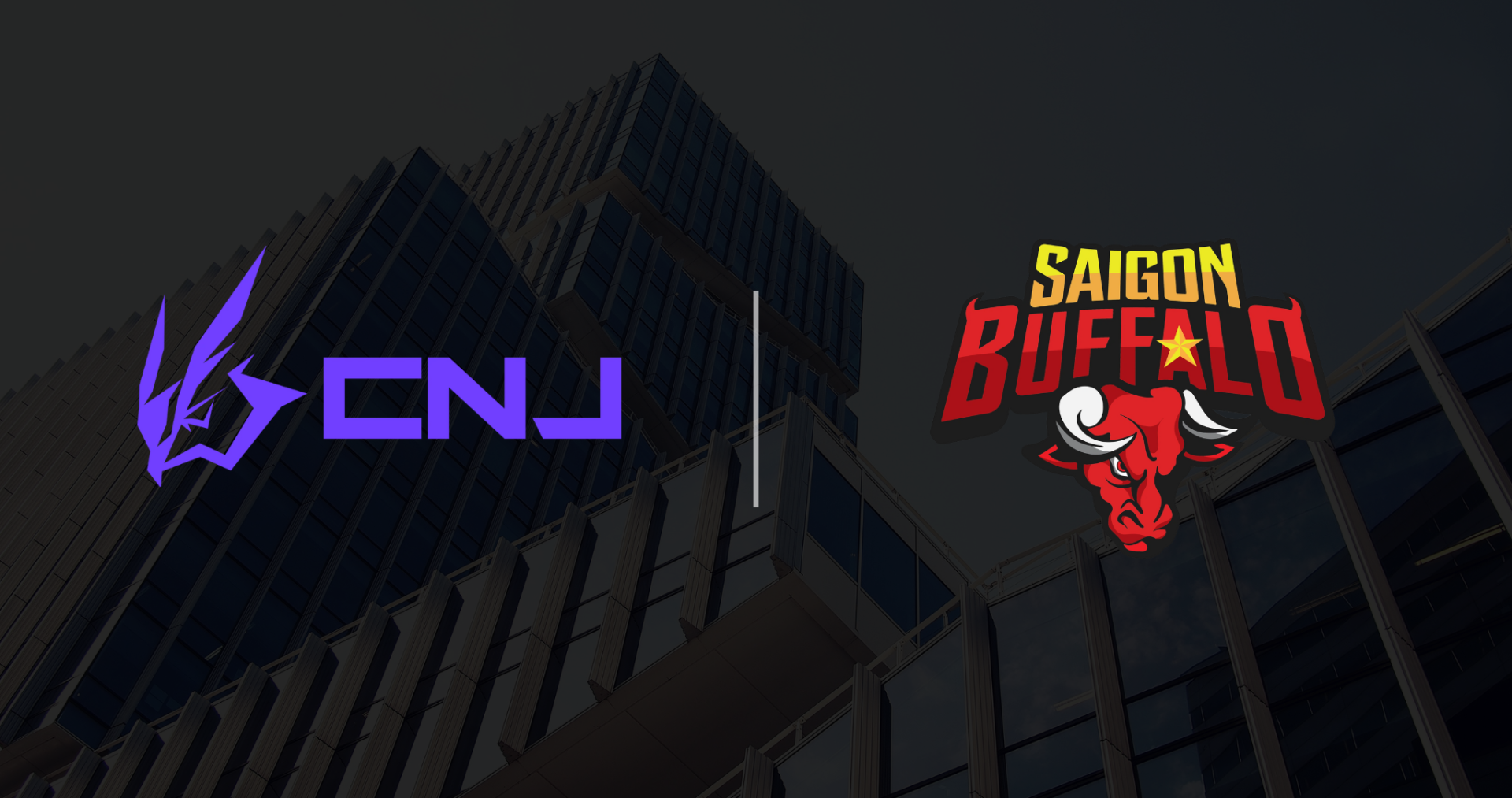 JUEGO cancels Saigon Buffalo acquisition