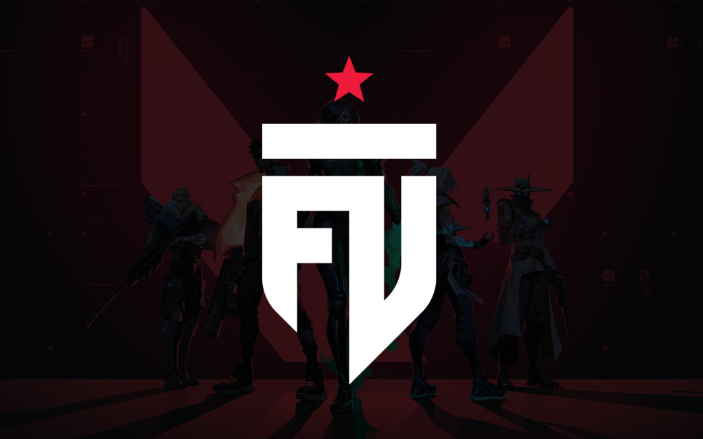 Who are the VALORANT VCT EMEA partner teams?